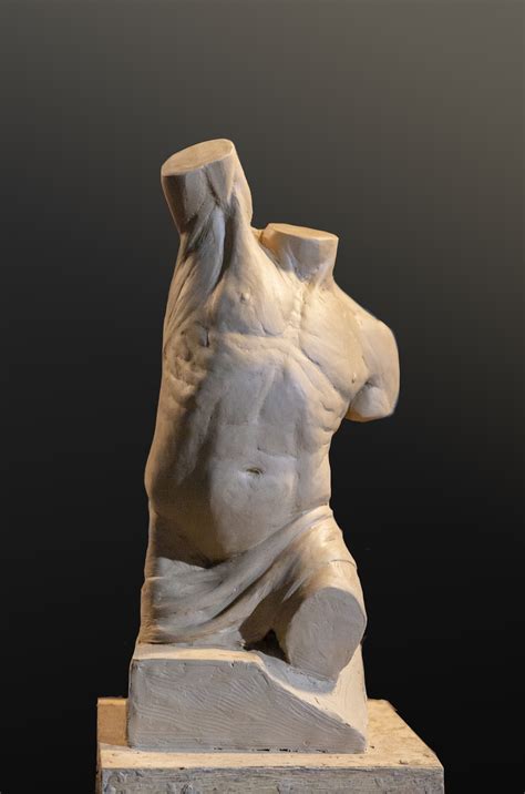 Écorché Of The Torso Gage Academy Of Art