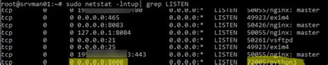 Find A Linux Process Listening On A Specific Port Windows OS Hub