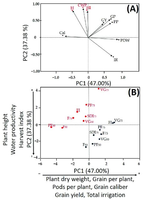 A Variable Distribution And B Irrigation Treatments Distribution Download Scientific