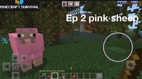 Pink Sheep Ep2 Youtube