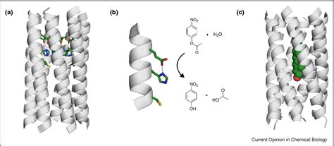 Figure 3 From Towards Functional De Novo Designed Proteins Semantic Scholar