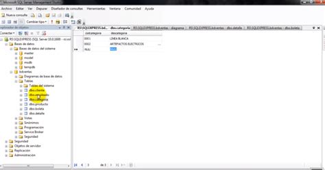 SQL Server Data Precios Funciones Y Opiniones