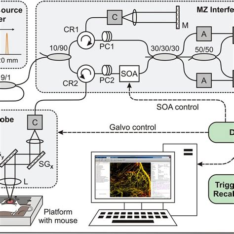 Schematic Diagram Of The Swept Source Oct System Setup With Quadrature Download Scientific