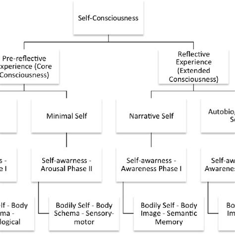 fluxogram of the neurophenomenological method a fluxogram is presented