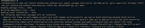 How To Install ERPNext On Debian