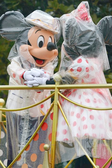 Rabbit In Dawn ベスバ