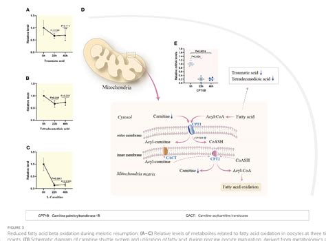 Figure 3 From Integration Of Parallel Metabolomics And Transcriptomics