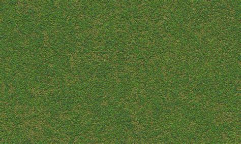 Grass Texture Map