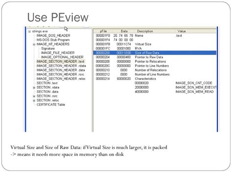Chapter 1 Basic Static Techniques Ppt Download