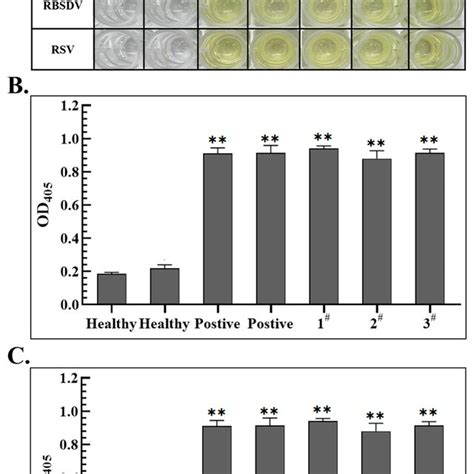 Application Of The Developed Elisa Detection Methods In The Specific