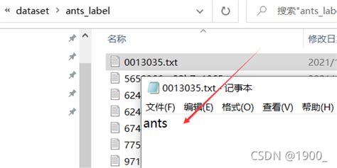 Pytorch入门（一）数据集的一些基础操作 数据集如何使用 Csdn博客