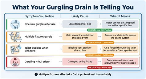 Why Does My Drain Gurgle After I Flush The Toilet Pom Plumbing