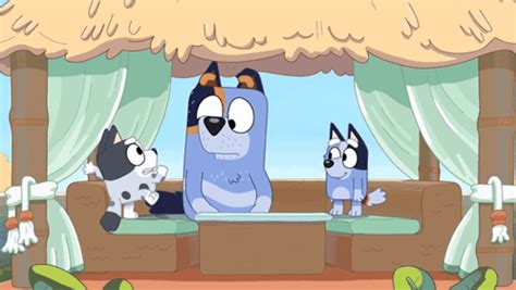 Bluey Uncle Stripe  Bluey Uncle Stripe Stripe Heeler Discover