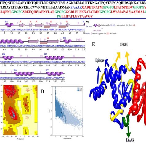 The Discontinuous B Cell Epitopes Red Within The Multi Epitope