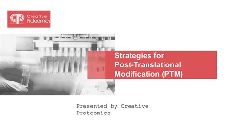 Strategies For Post Translational Modification Ptm Pptx