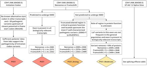 Optimising Clinical Care Through Cdh1 Specific Germline Variant