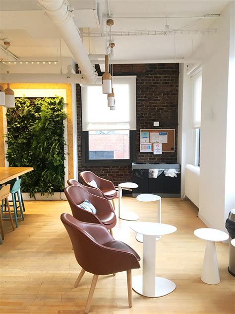 Nut C Collection On Behance Nut C Collection On Behance