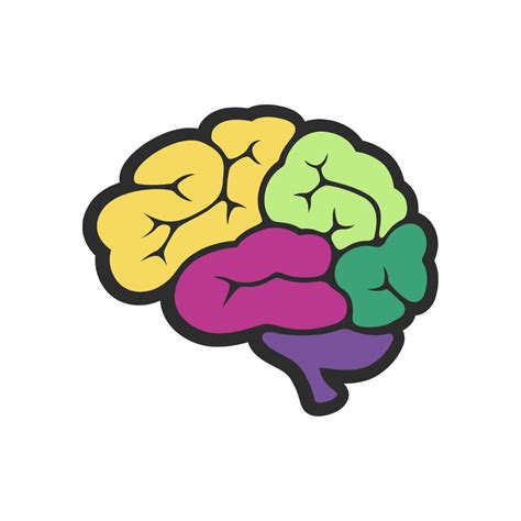 Free Brain Vector Clipart Png Svg To Edit Online
