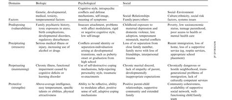 biopsychosocial formulation grid with examples of