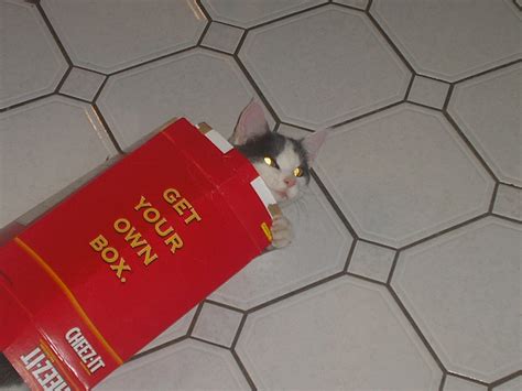 Get Your Own Box Imgur