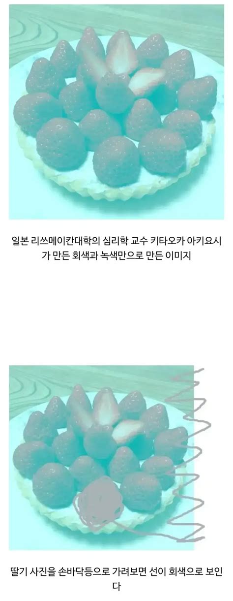 딸기 사진 이렇게 해보세요 개9