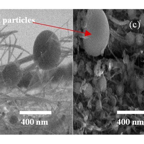 Carbon Nanotube Hybrid Cnth Materials A Pristine Cnt Black Sock Download Scientific