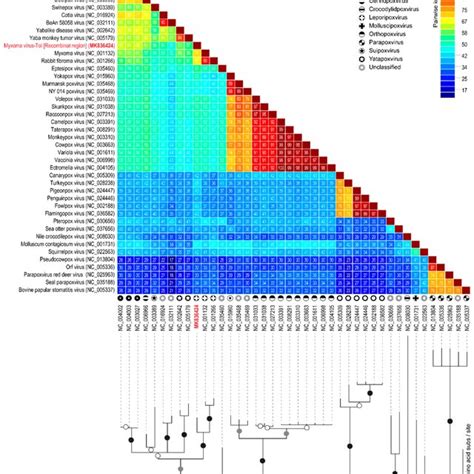 Pairwise Nucleotide Identity Matrix Upper Image And Download Scientific Diagram