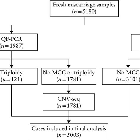 Flow Diagram Summarizing Testing Strategies And Inclusion Of Cases In Download Scientific