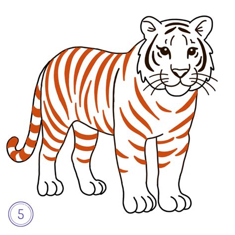 How To Draw A Tiger A Step By Step Guide From Mimi Panda How To