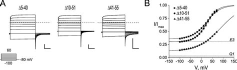 Kcne3 Nh 2 Terminal Truncation Mutants Produce Standing Currents At
