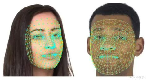 计算机视觉的应用34 基于cv领域的人脸关键点特征智能提取的技术方法