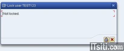 Lock Unlock User In SAP