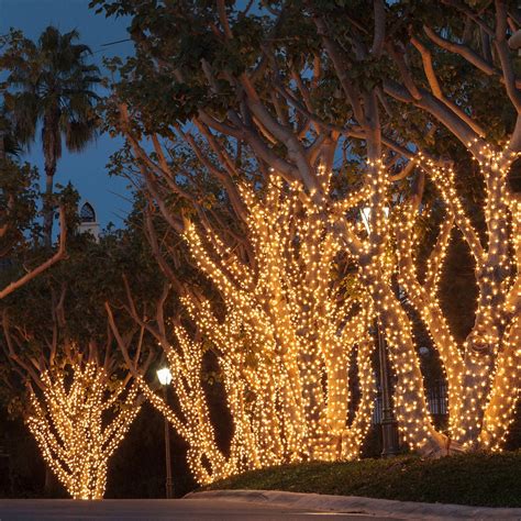 How To Wrap A Tree With Christmas Lights