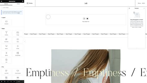 Editing Pages And Posts Asli