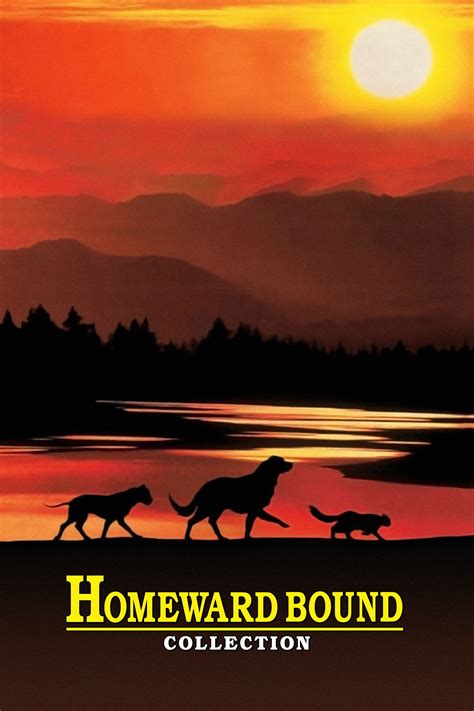 Homeward Bound Collection The Poster Database Tpdb