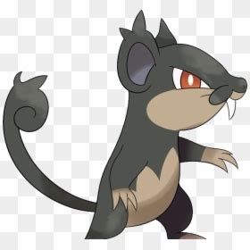 Alolan Rattata Pokédex Pokemon Alolan Rattata Hd Png Download Vhv