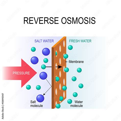 Reverse Osmosis Stock Vector Adobe Stock