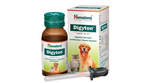 Himalaya Digyton Drops 30ml Pack Of 3 Freeshipping Amanpetshop