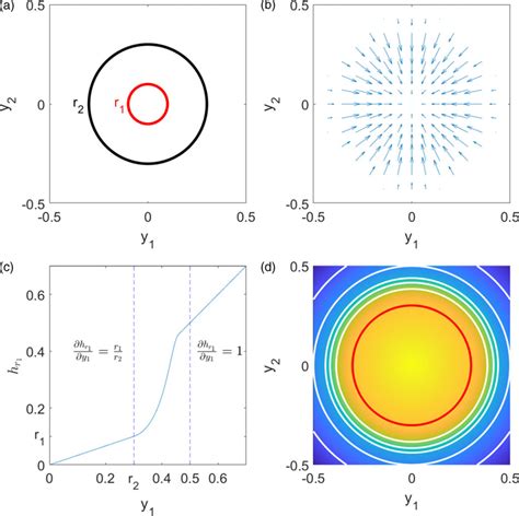 Visualisation Of Diffeomorphism 37 For R 2 03 R 1 01 A