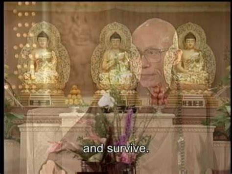 What Is The Meaning Of Sentient Beings In Buddhist Termgdd 1081dvd
