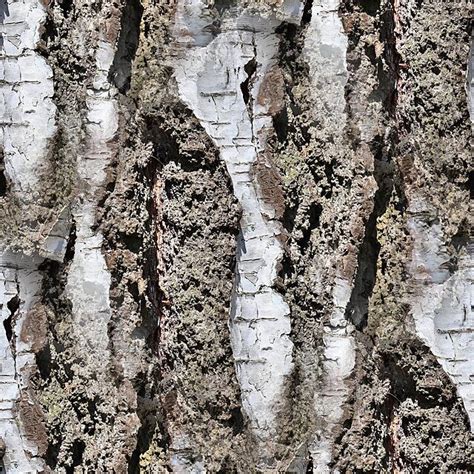 Seamless Texture Pattern Of Trees In Highdefinition Realism Photo Background And Picture For