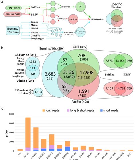 Structural Variantions Inference Across Illumina 10x Ont And Pacbio Download Scientific