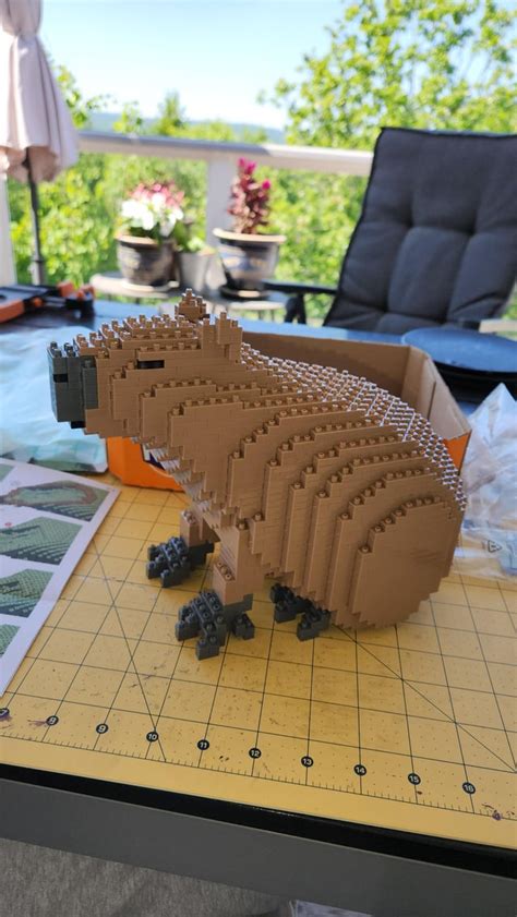 Finally done with my Capybara Lego 🤩🤩 : r/capybara