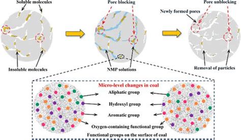 Impact Of N Methyl 2 Pyrrolidone Erosion On Surface Functional Groups And Pore Evolution In