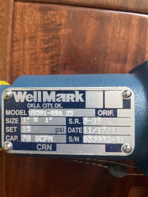 Wellmark W9501 Rsa 2s Relief Valve 15psi Pressure Relief 1 Npt W9501 Rsa Ebay Wellmark W9501 Rsa 2s Relief Valve 15psi Pressure Relief 1 Npt W9501 Rsa Ebay