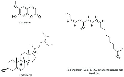 Molecular Structures Of Selected Bioactive Phytochemicals Isolated From