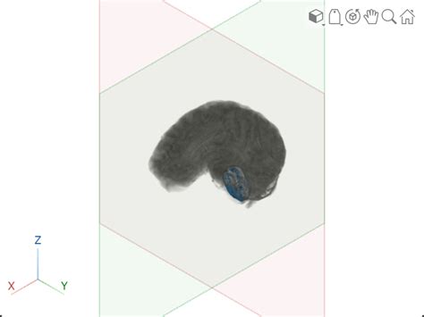 Display Interior Labels By Clipping Volume Planes