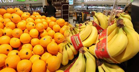 과일 가격 낮춘다바나나·오렌지 1800t 수입