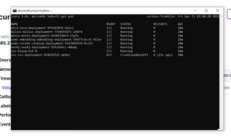 Error Running Nvidia Vss Pods Keep Restarting And Crashing Multiple
