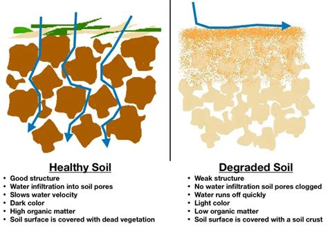Soil Structure